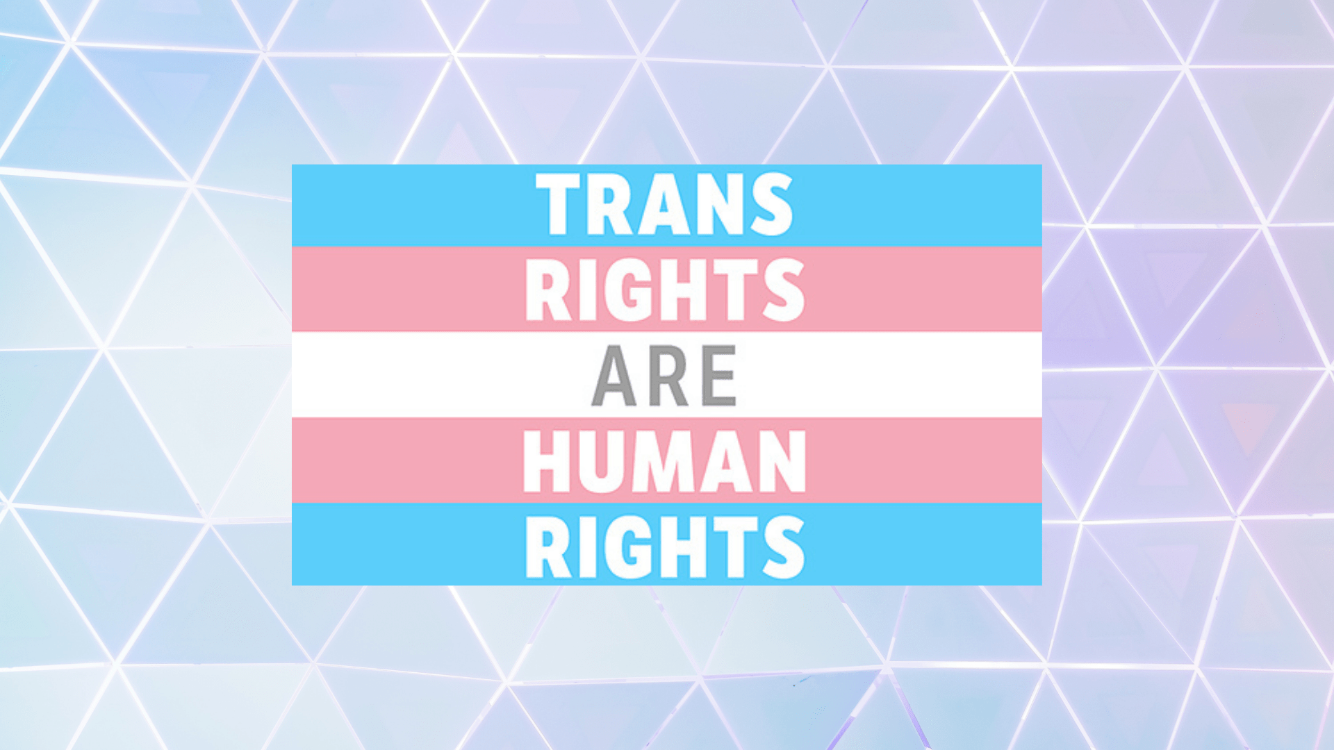 Games Industry Joins 'Trans Rights Are Human Rights' Campaign - Gayming ...